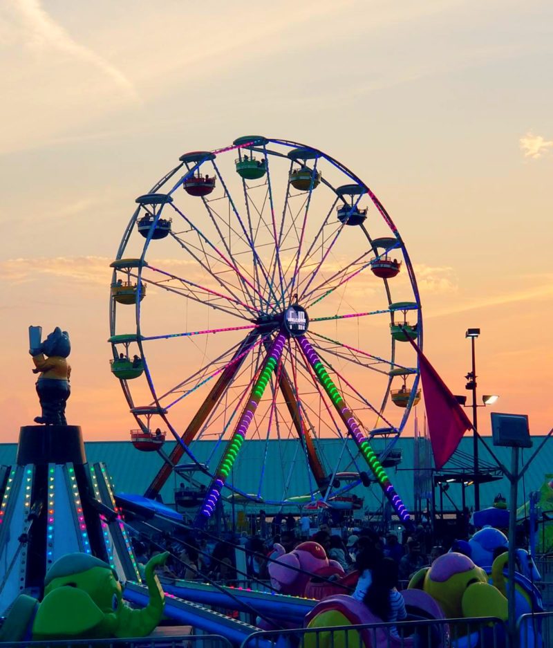 Fair 101: Navigating the Ohio State Fair - I Dream in Chic
